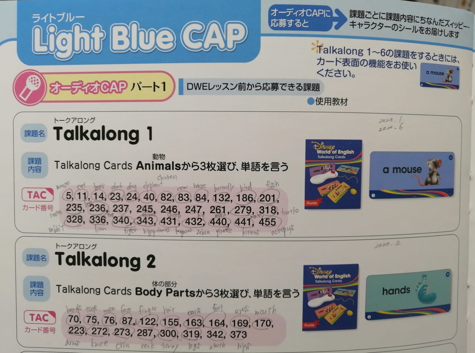 【DWE】DWE使いこなせるか迷っている人へ！購入前に知りたい！CAPについてポイント4つ！ | 英語育児ブログ
